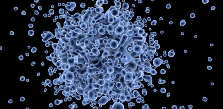 Limfocite crescute la adulti sau copii - ce inseamna - Mami si copilul